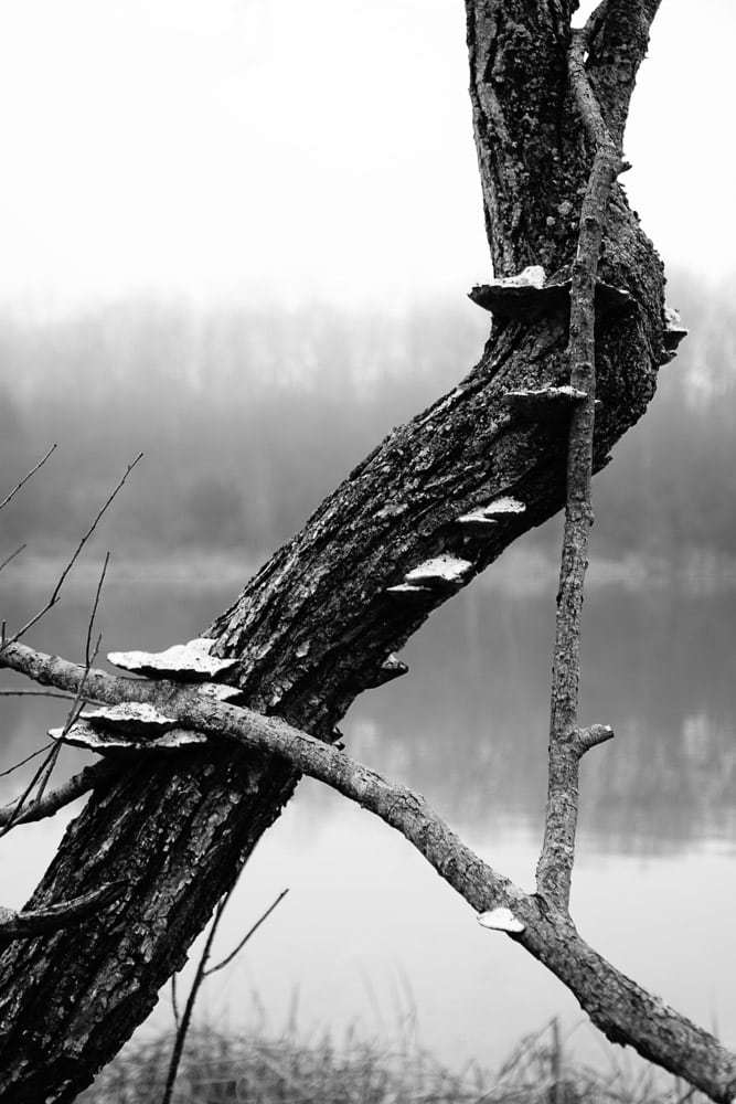 Useful Tips for Landscape Photography In Poor Or Dull Light